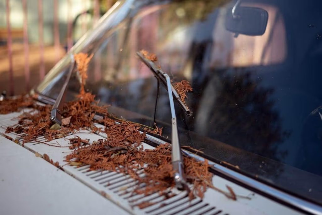 When to Replace Your Windshield Wipers - Speck Hyundai of Tri-Cities Blog